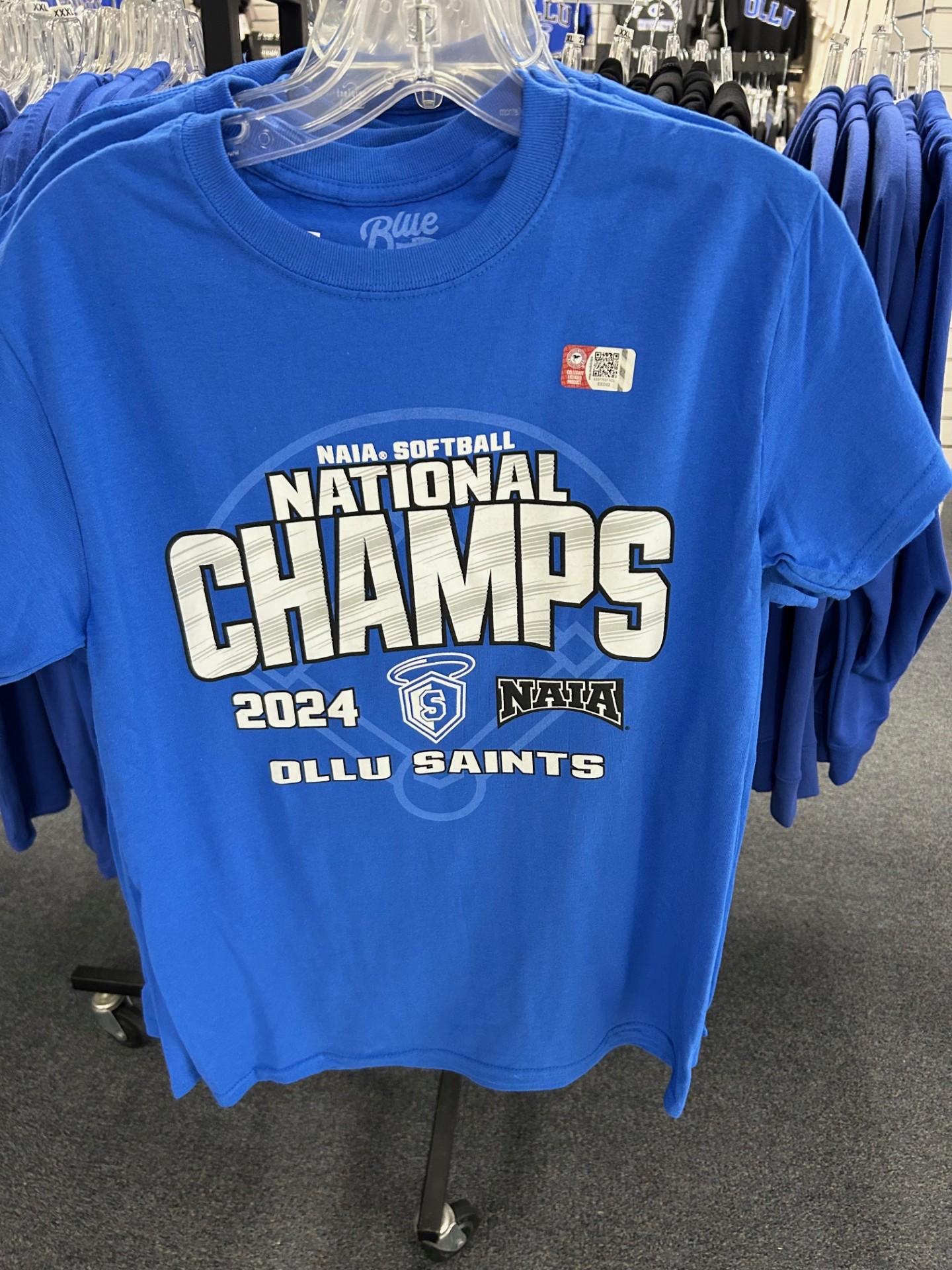 National championship softball t-shirts available at Bookstore – Lake ...